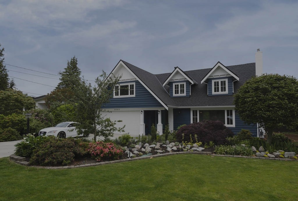 form-bg - New Vision Projects